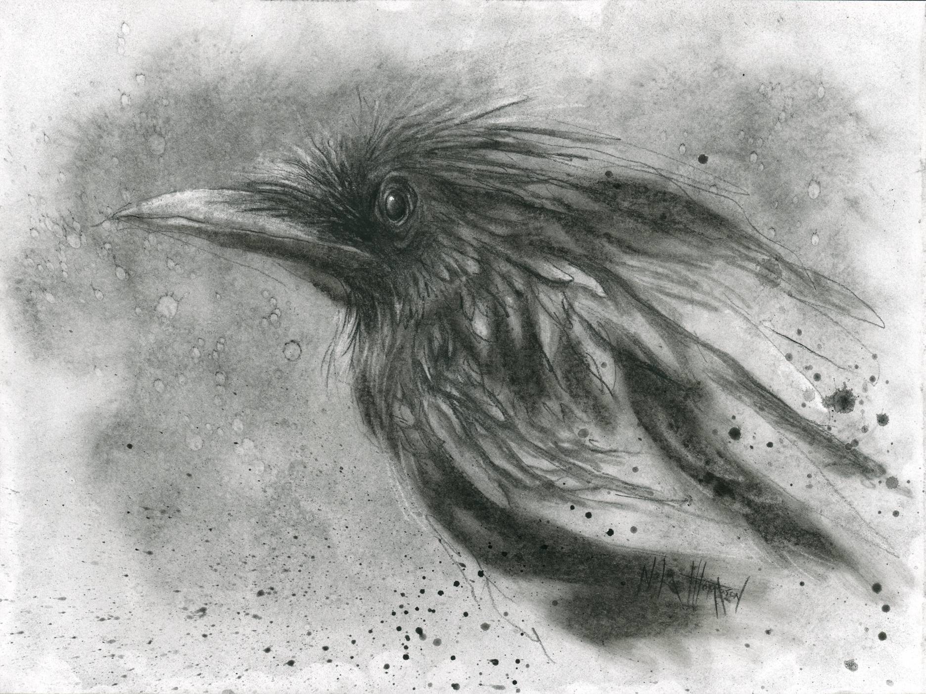 Nora Thompson | Main Exhibit Gallery